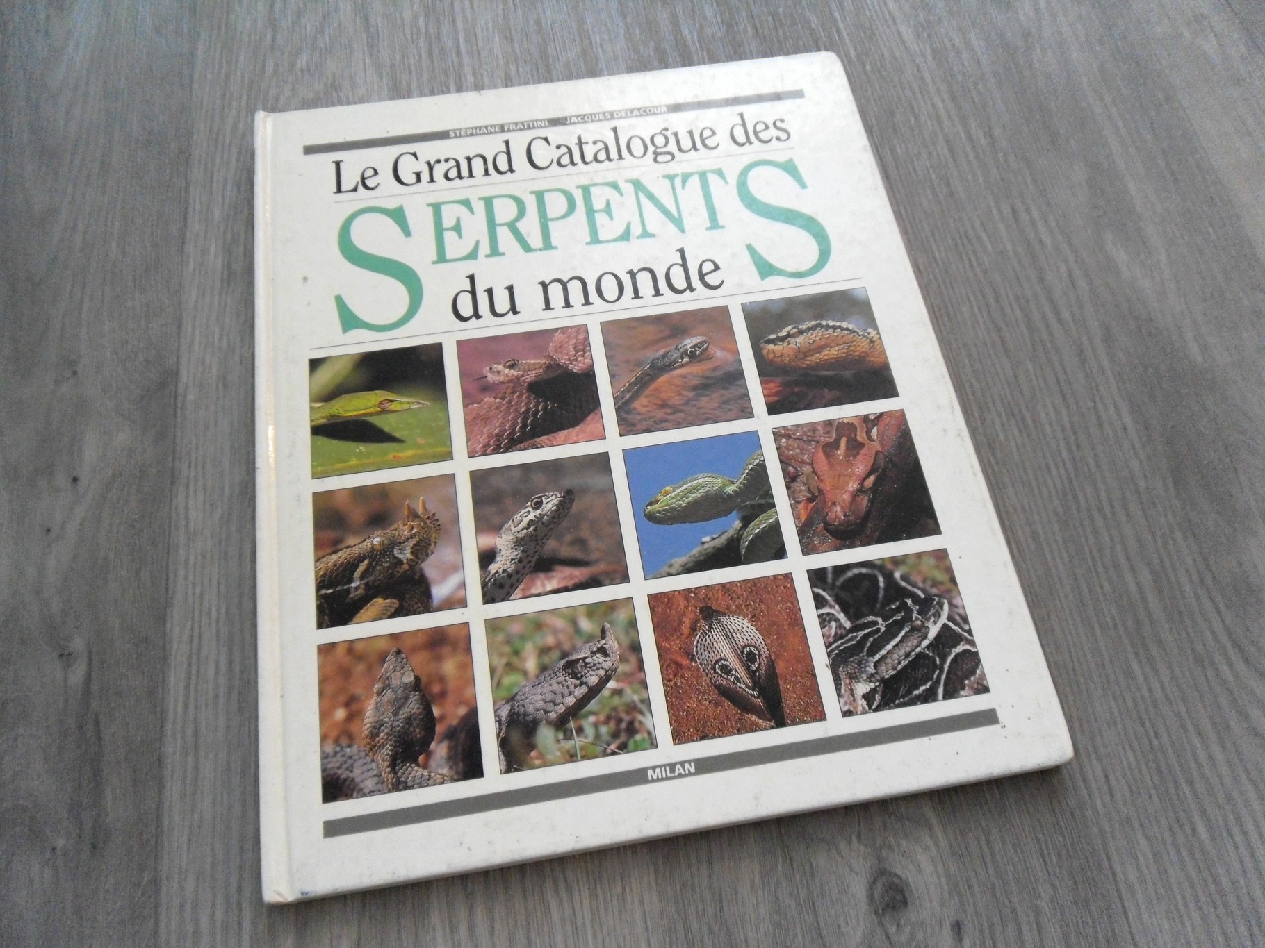 Le Grand Catalogue des Serpents du Monde - Site Jimdo de shadows-passion!