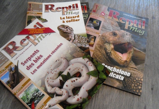 Nos Articles de Reptil'Mag - Site Jimdo de shadows-passion!