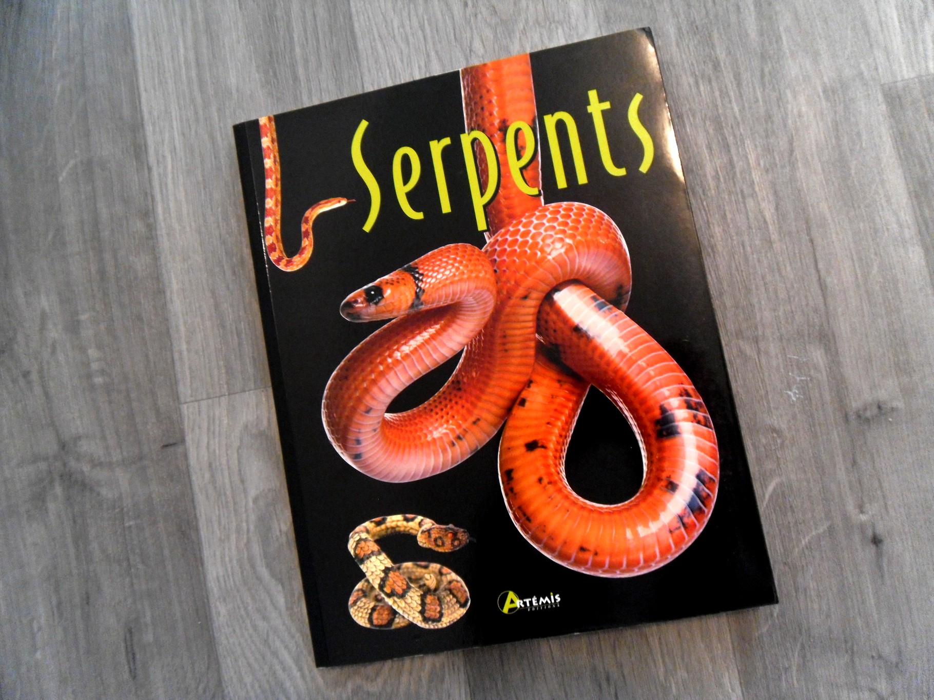 Editions Artemis - Site Jimdo de shadows-passion!