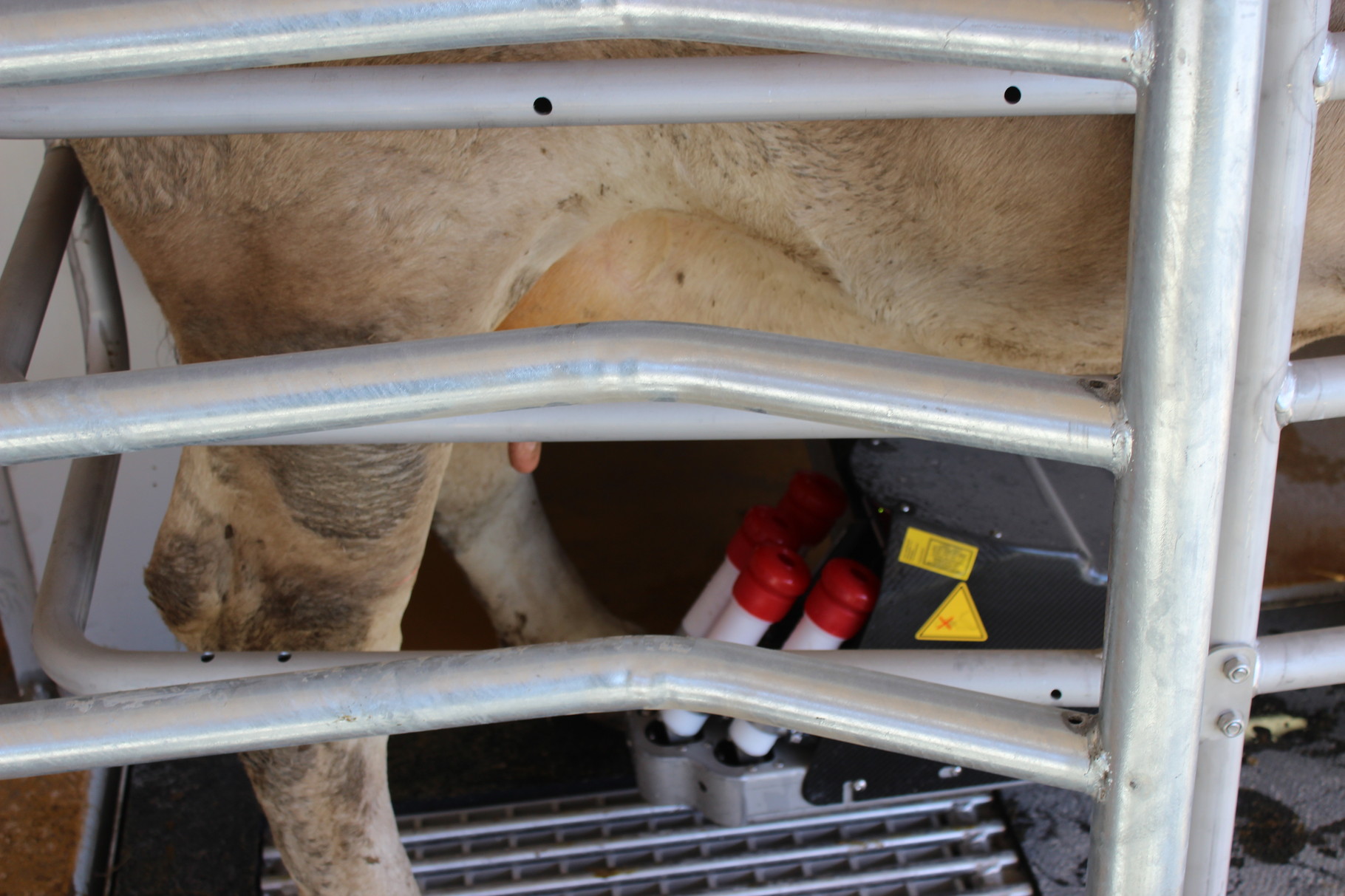 Der Melkroboter von Lely - Hof-Hinterburg Webseite!