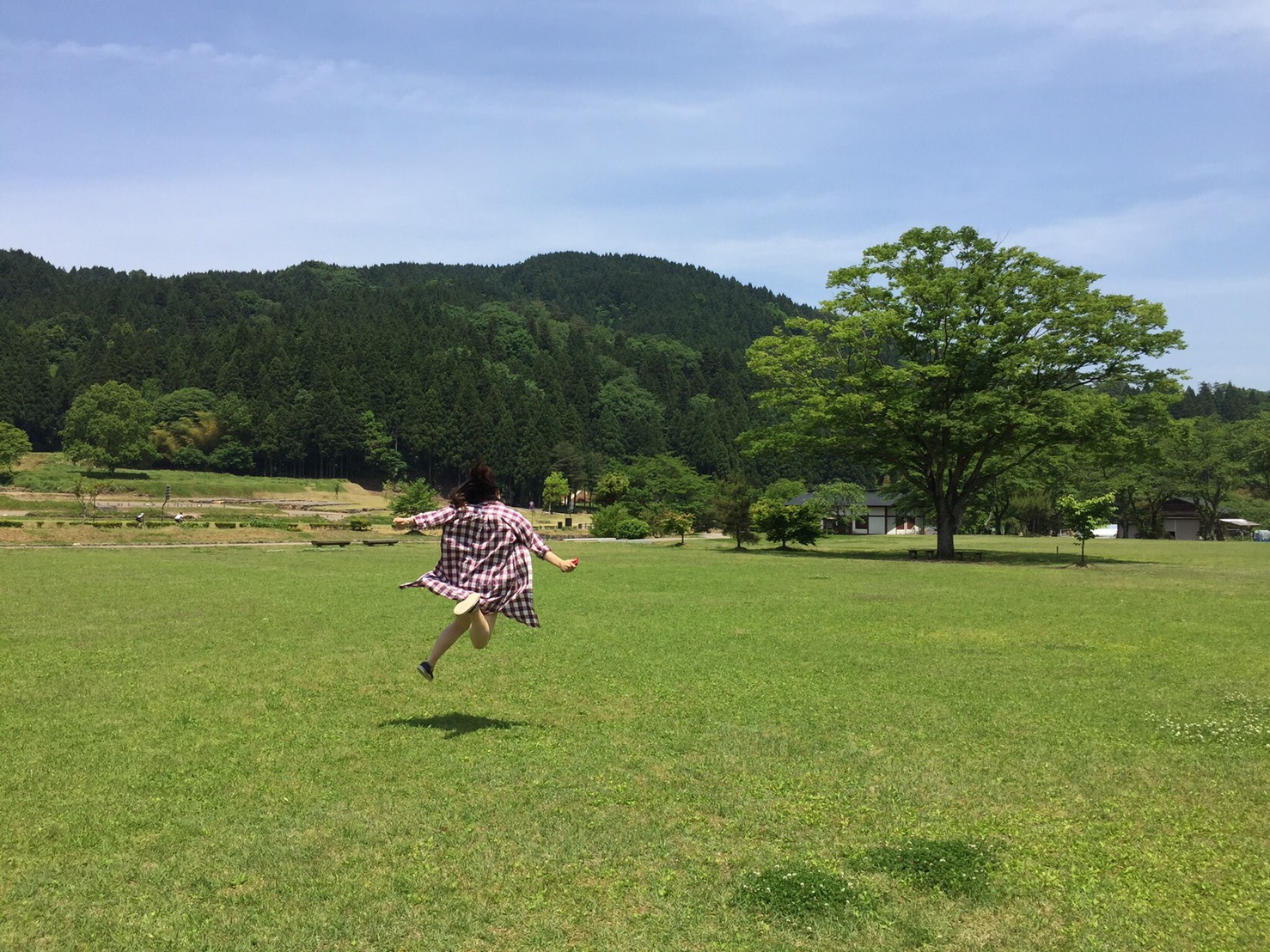 MEDIA SCHEDULE - Clover Official Site