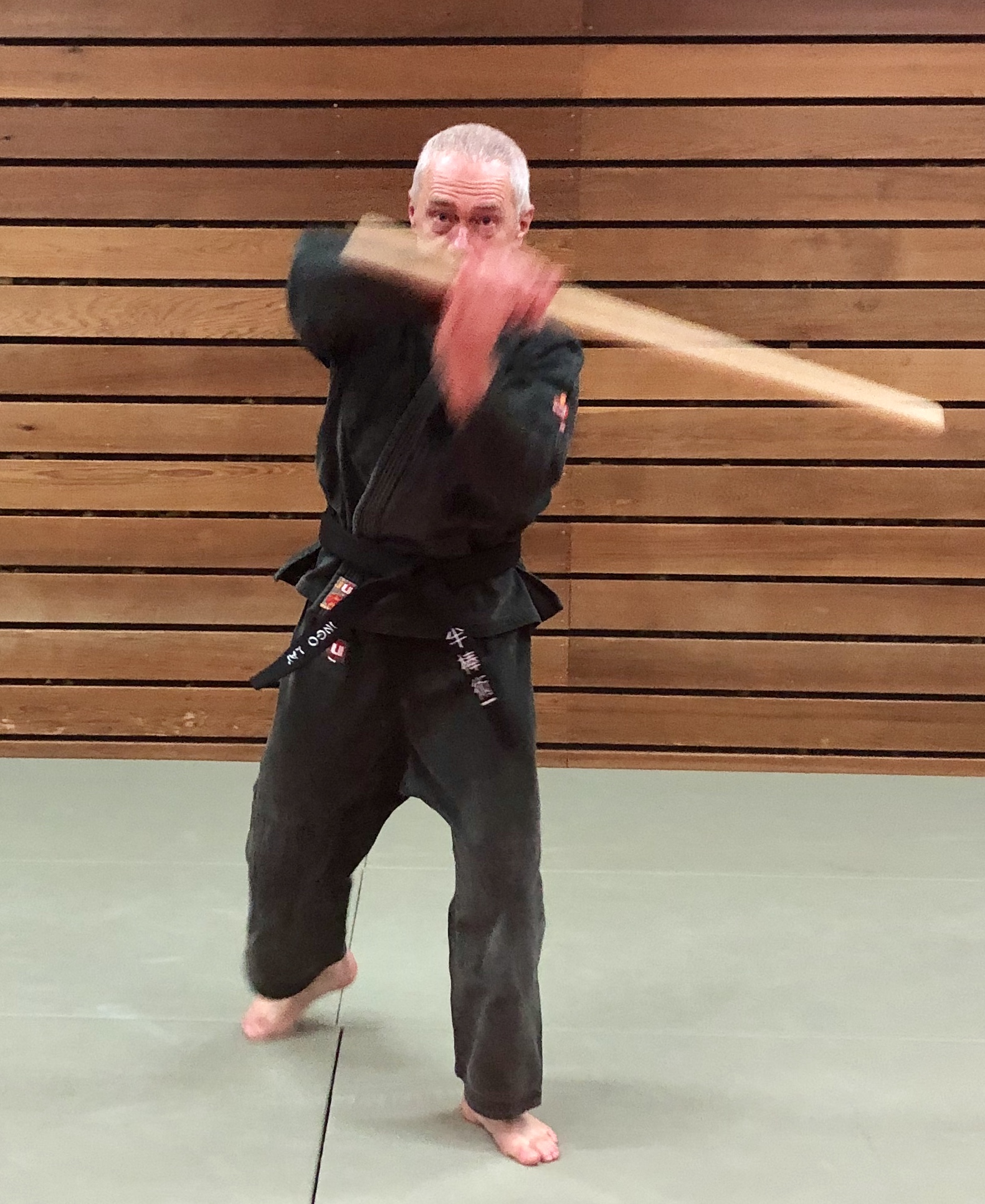 Ein paar Eindrücke aus dem Hanbo-Jutsu-Training... - PSV Saar Ju-Jutsu ...