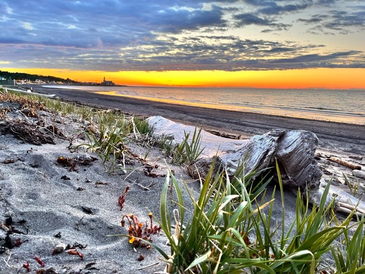 Pour un sejour de détente: Domaine de la Plage à Ste-Luce sur mer ...