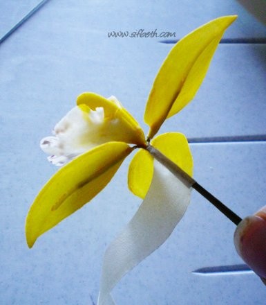 Gumpaste Cymbidium Orchid Tutorial - Floralilie Sugar Art