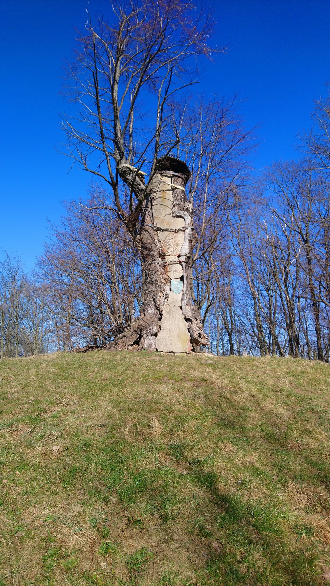 Von Lockwitz zu Schloß Röhrsdorf, im Briese-Grund weiter zum Lugturm ...