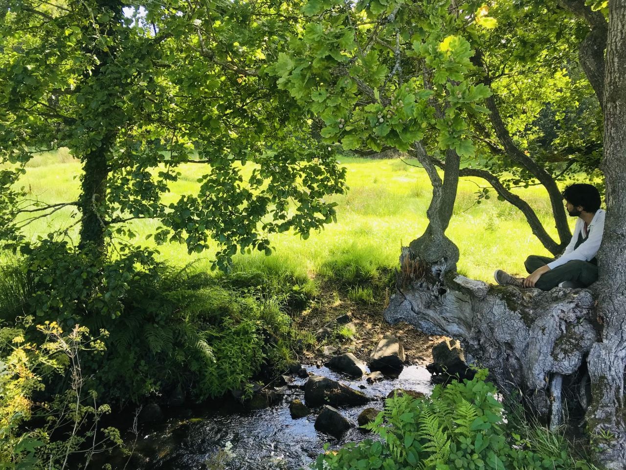 UNE CLAIRIÈRE - Une Clairière