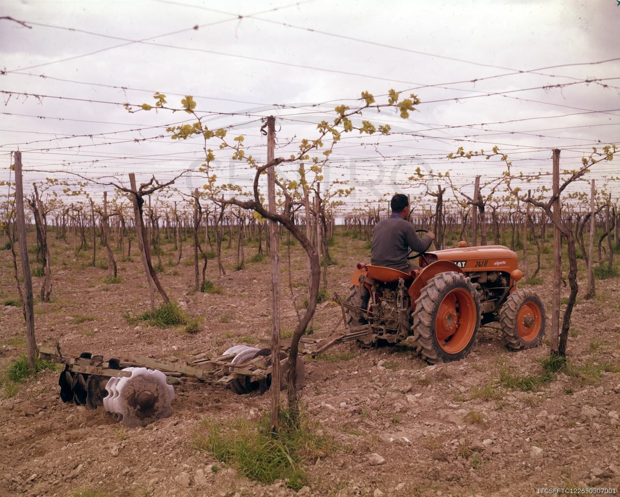 Fiat Traktoren - Technische Daten - tractorbook.de