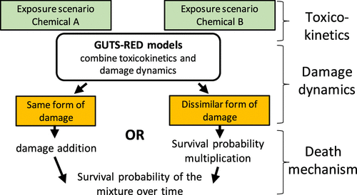 Models in ecotoxicology - Ecotoxicology and Models