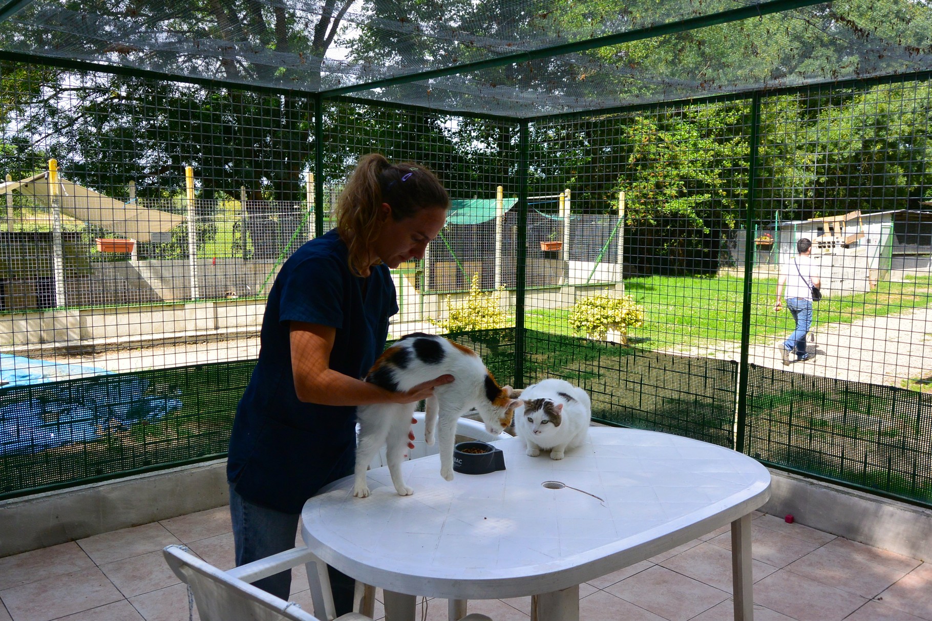 Retrospective 2014 - Refuge animalier de Brax, près d'Agen 47