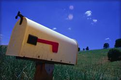 When To Call - tn811