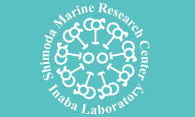 稲葉一男 KAZUO INABA 教授 PROFESSOR - inaba-lab-shimoda ページ！