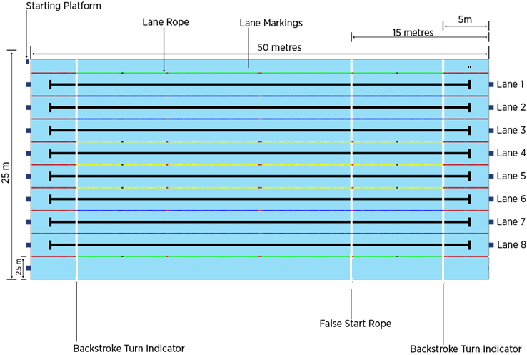 Medidas de la alberca olímpica - Vivo Deporte, ¡hazlo intensamente!