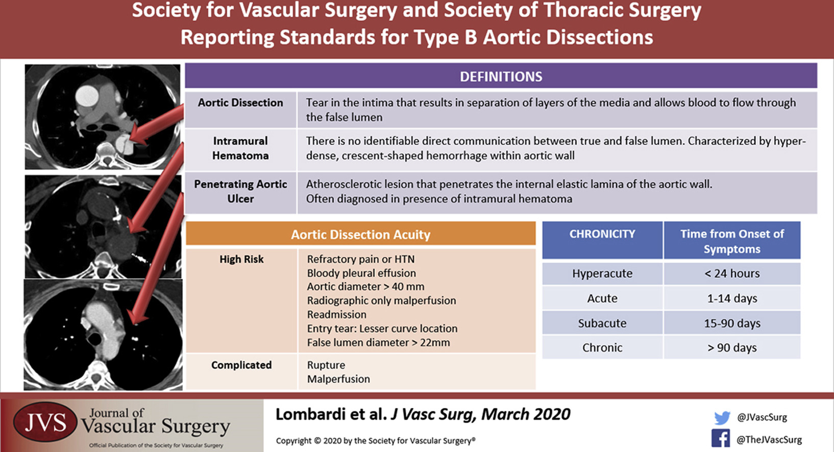 VSITE Review - Aortic Dissections - Audible Bleeding: The Vascular ...