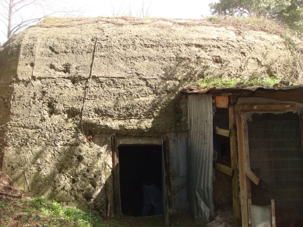 The Italian Campaign and the Gothic Line 1943-1945 ...