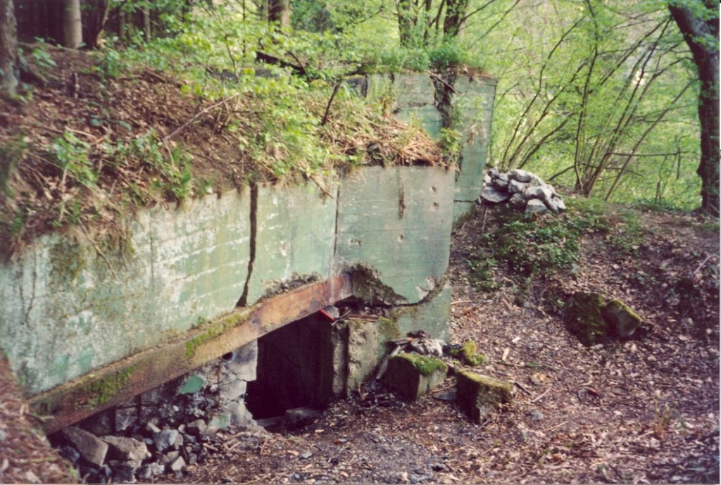 The Huertgenwald Museum - standwheretheyfoughts jimdo page!