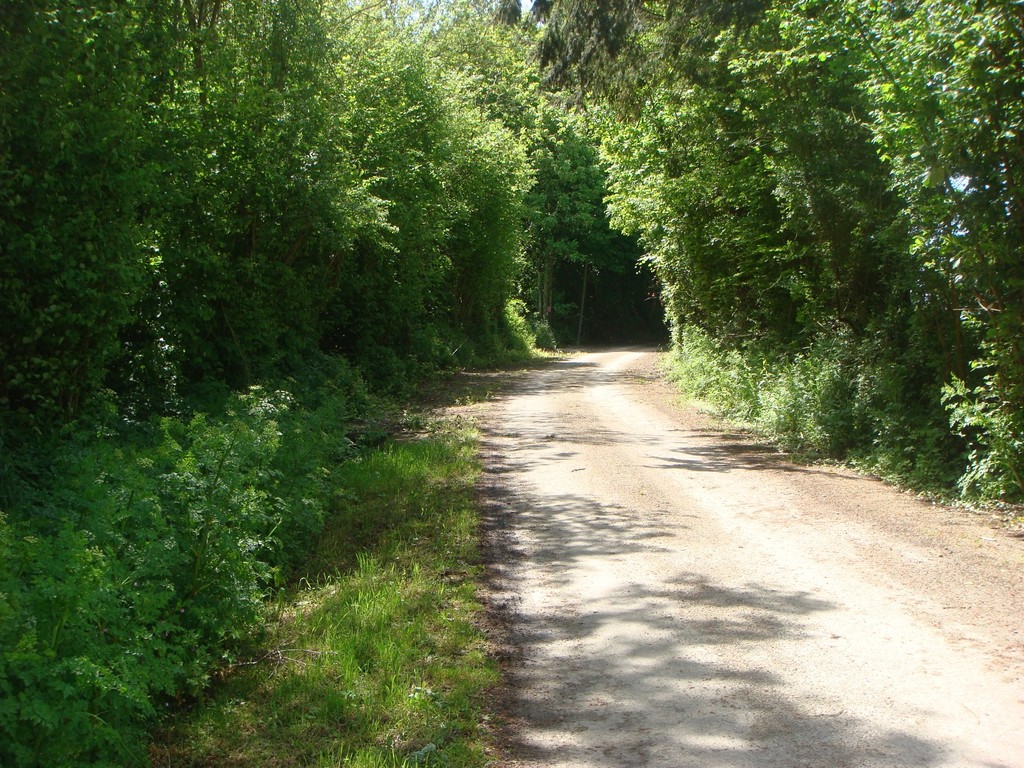 Saint-Germain-sur-Sèves - A tragic setback for the 90th Infantry ...