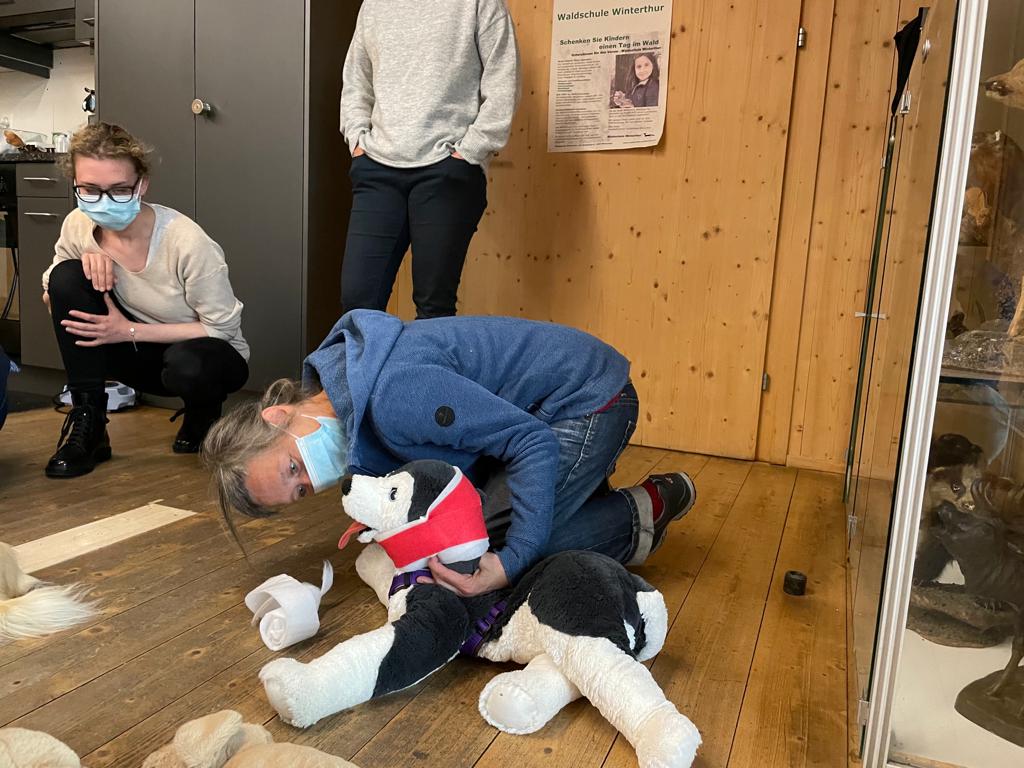 Erste Hilfe beim Hund 2016 (Fotos) - Wissen für Hundefreunde