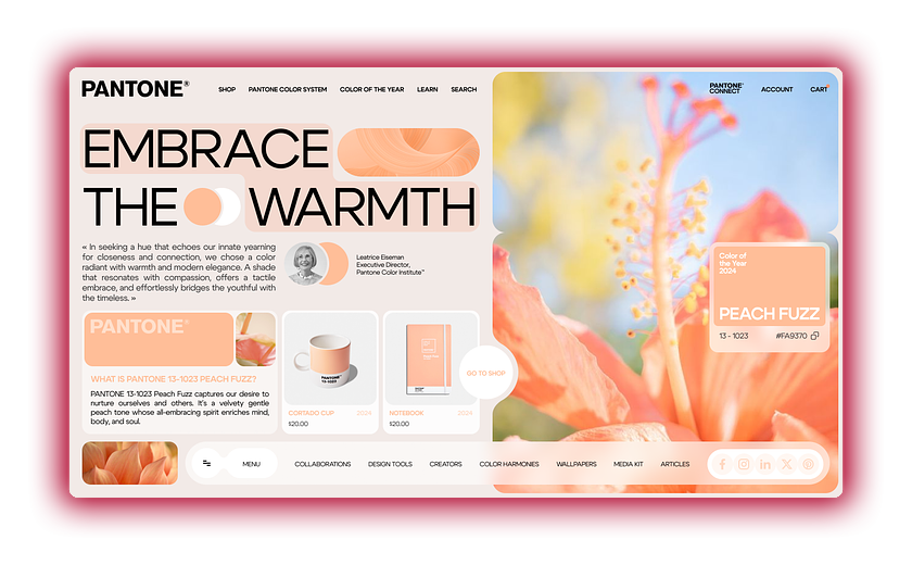 Pantone Color of 2024: 'Peach Fuzz' Takes the Web Design by Storm ...