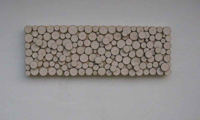 спил дерева для дорожек,спил дерева для стен,срез дерева,пано из спилов ...