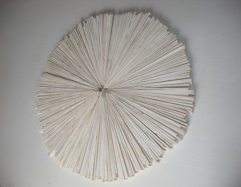 спил дерева для дорожек,спил дерева для стен,срез дерева,пано из спилов ...