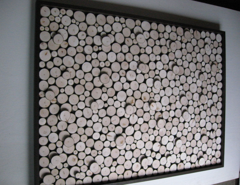 спил дерева для дорожек,спил дерева для стен,срез дерева,пано из спилов ...