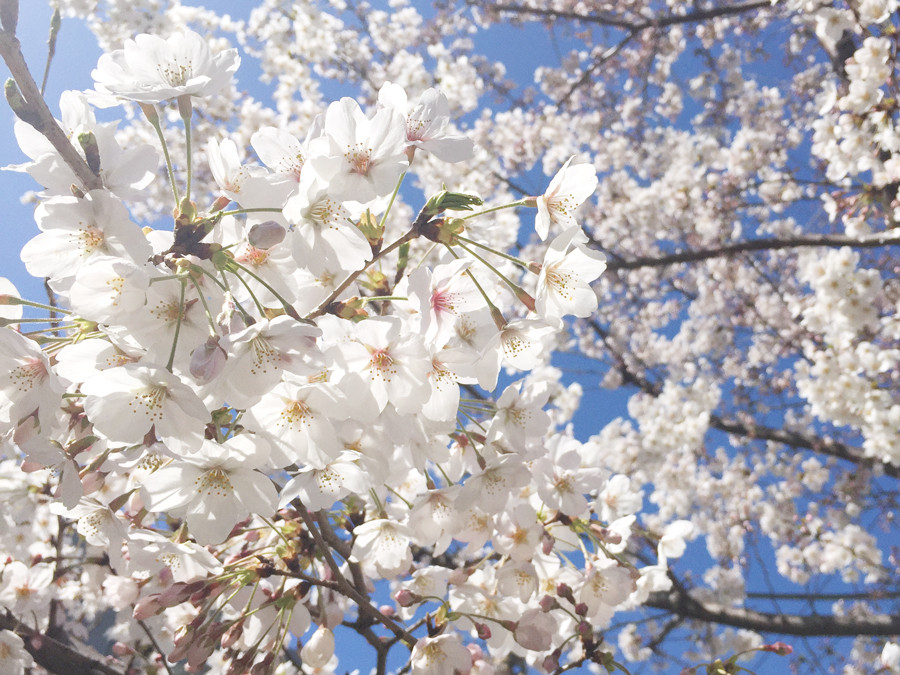 15.03.27 - WAQ DESIGN 1周年を迎えました！ - WAQ DESIGN ワキューデザイン - Welcome to Yu ...