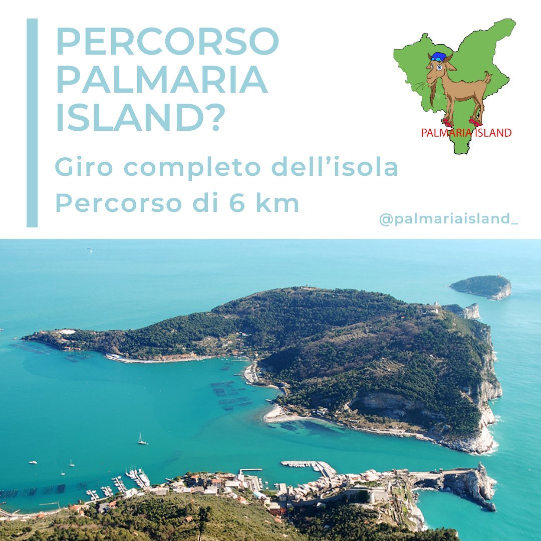 palmariaisland - Benvenuti su palmaria-island!