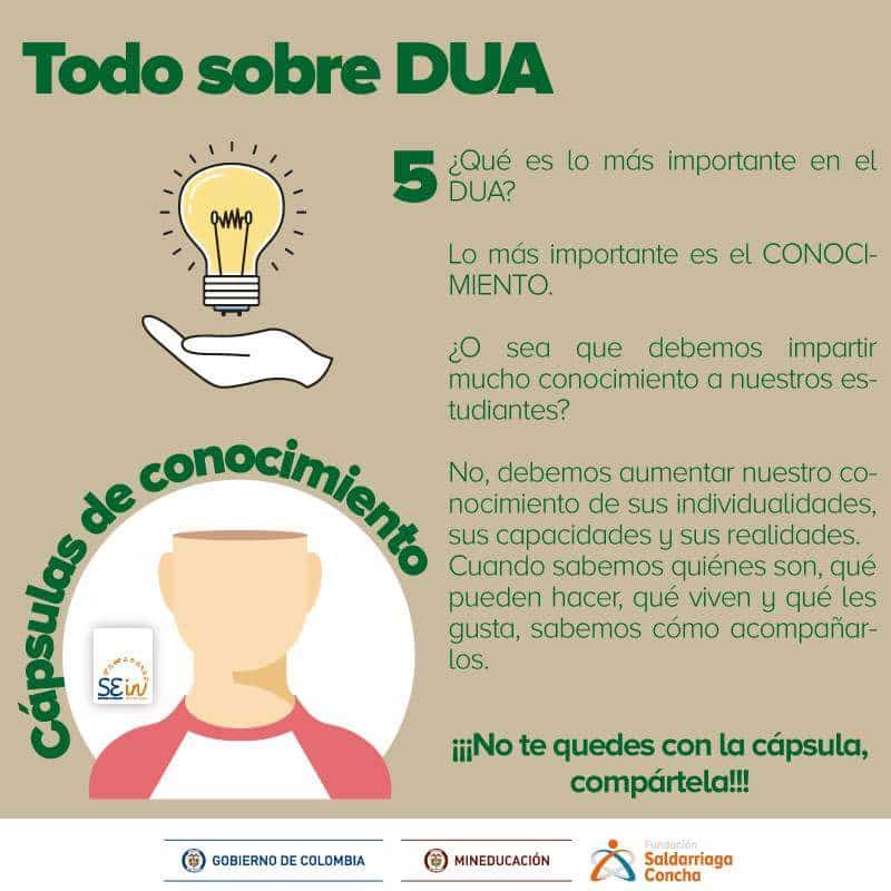 Diseño Universal del Aprendizaje - DUA - Página web de ...