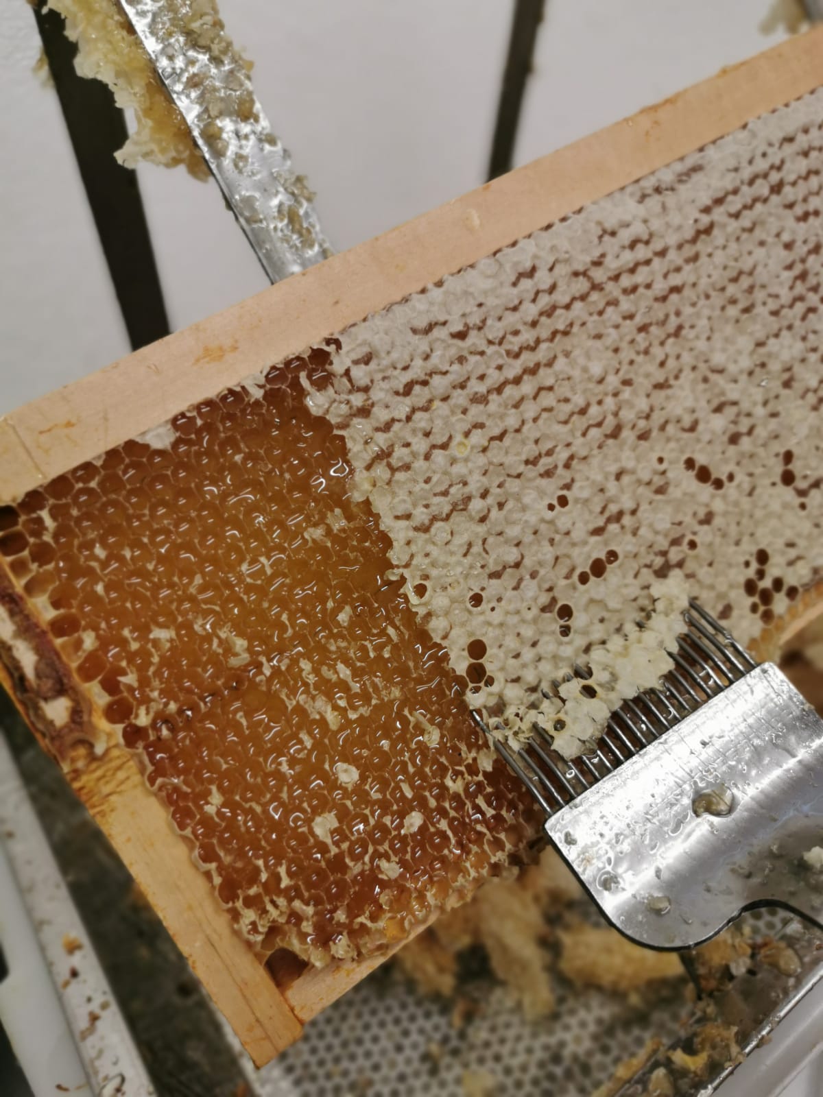 Miel : texture naturelle VS crémeuse - Puri New Zealand