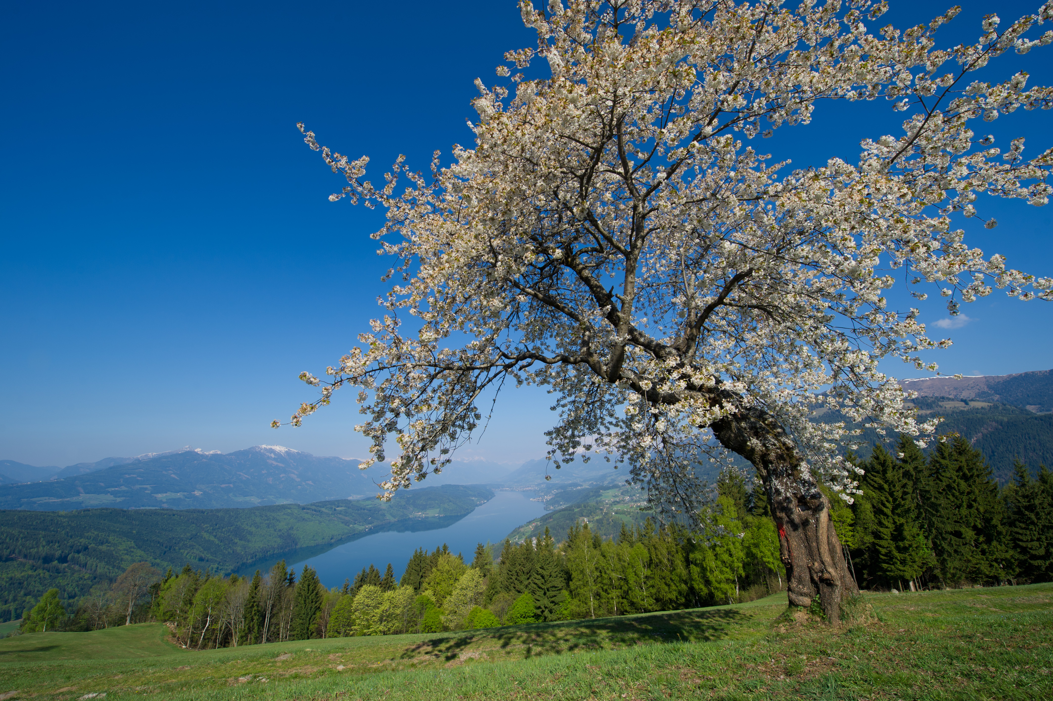 Über uns - kaernten-guide