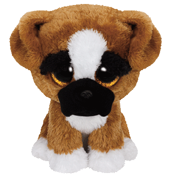 Beanie Boo Photos - codysbeaniebooswebsite