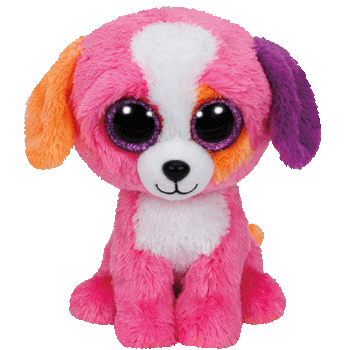 Beanie Boo Photos - codysbeaniebooswebsite