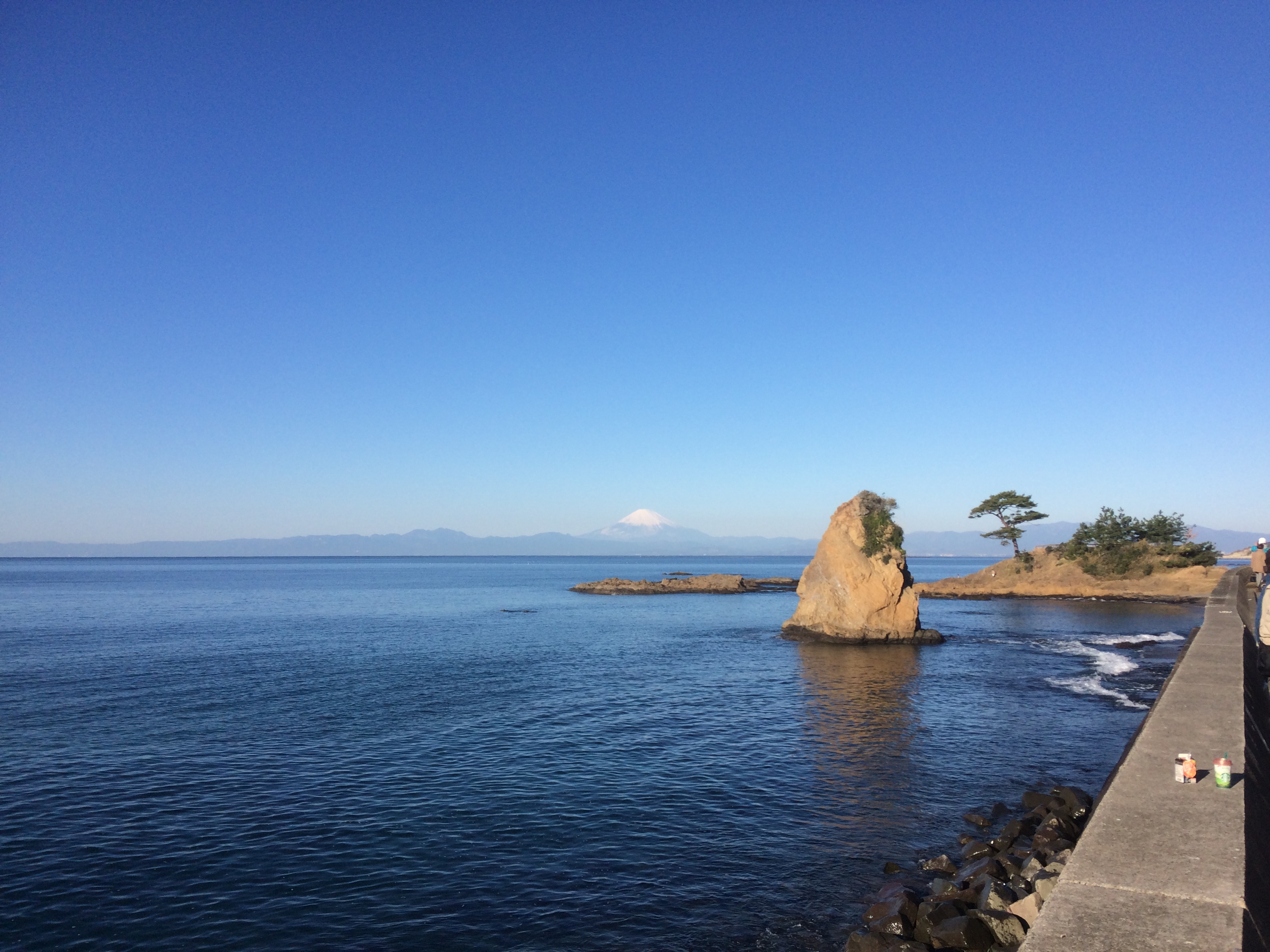 水産資源の持続的利用と沿岸・家族漁業者の生活を守ります - jcfu ページ！