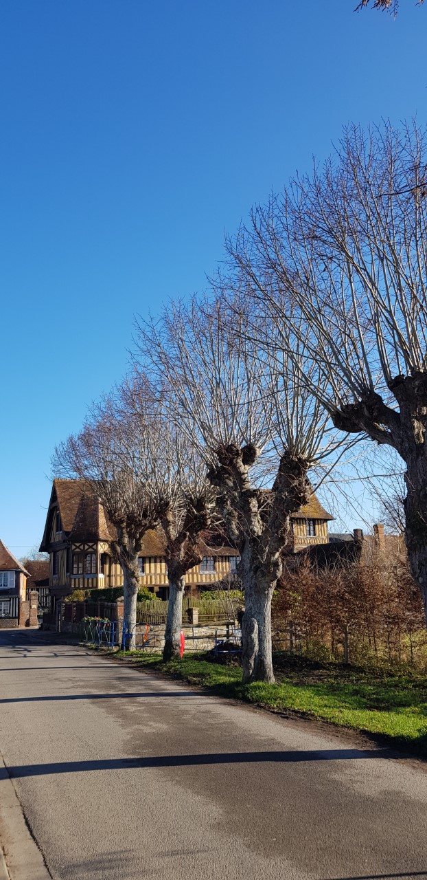 accueil - SITE OFFICIEL de la Mairie de Beuvron-en-Auge