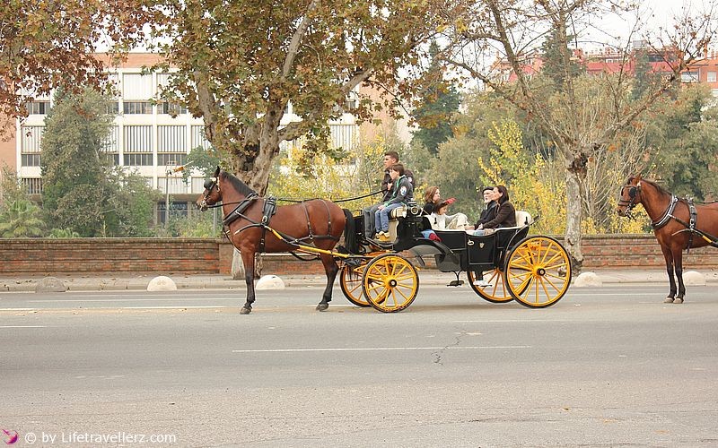 Andalusien im Winter - Sevilla entdecken - Lifetravellerz Blog