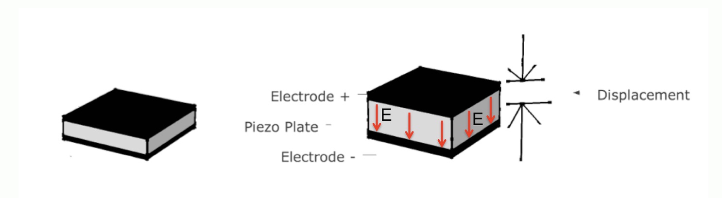 Piezo Actuators, Electronics Drivers, and Piezo System Consulting ...