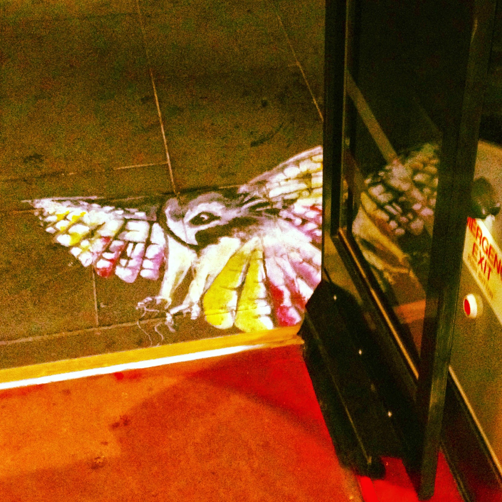 Bozzy Bus Blog - bozzybus