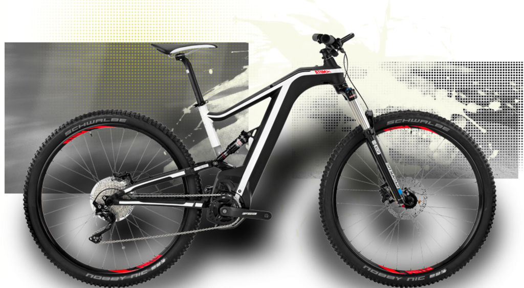 BH emotion Atom X Lynx 5 29 - E-BIKE-STORE KIEL