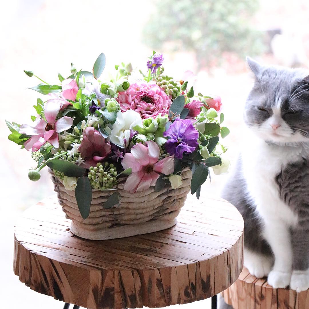 KKUU - hanasakuminaru ホームページ