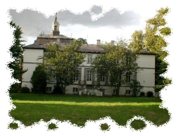 Wie alles mit dem Verkauf begann - Schnipselfees jimdo page!