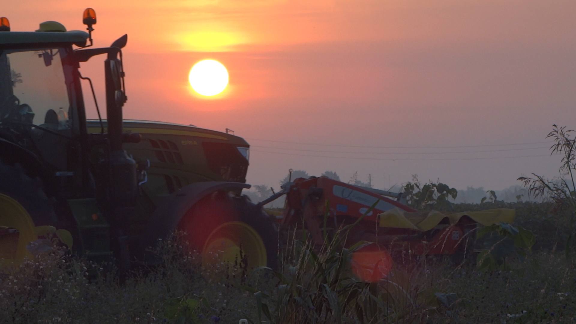Cosa Faccio... - Benvenuti su agri-luke!
