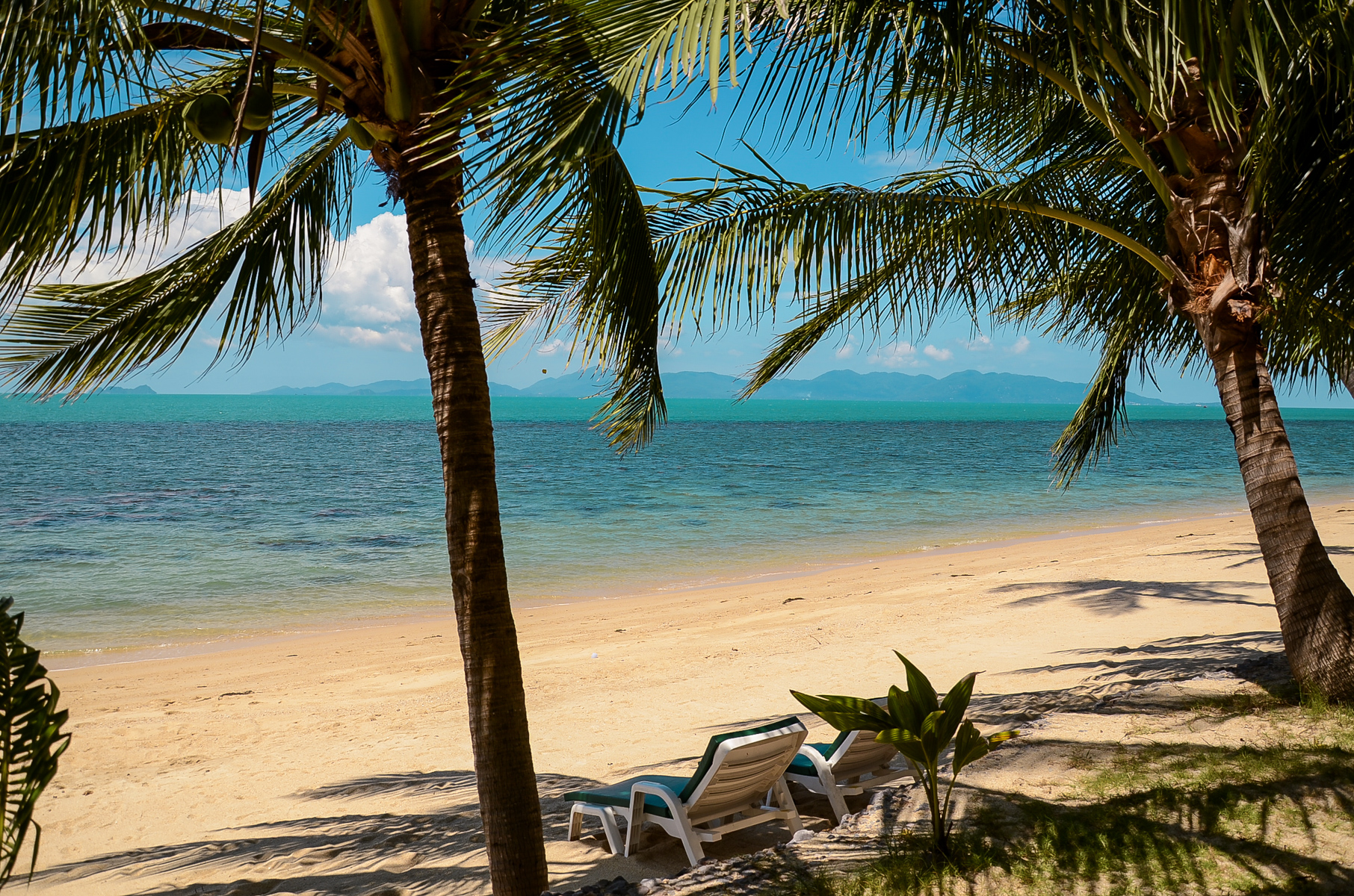 Samui Strandhaus A1 - Koh Samui Ferienhaus