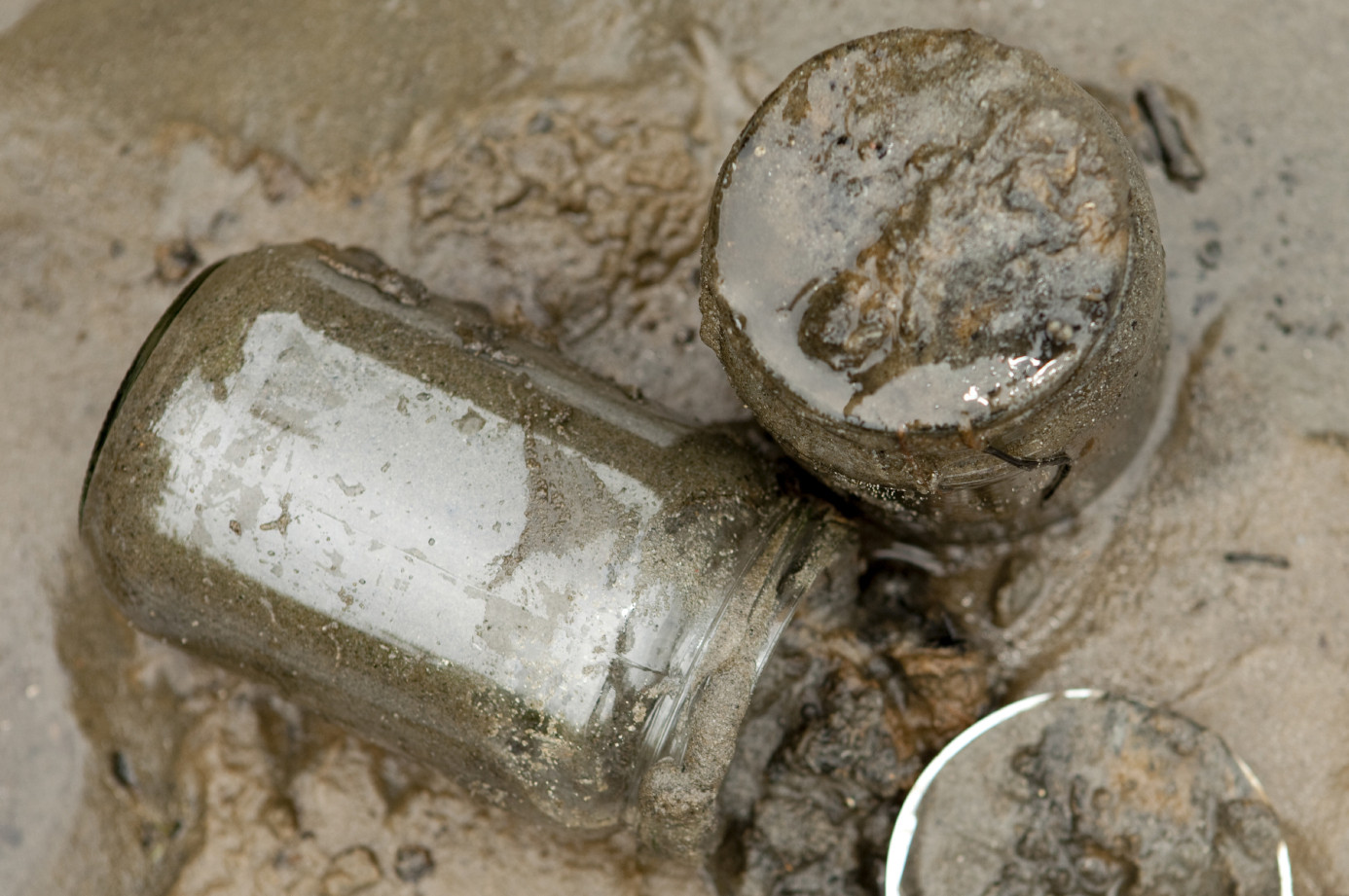 municipal sludge treatment - R.E.M. International Mechanics