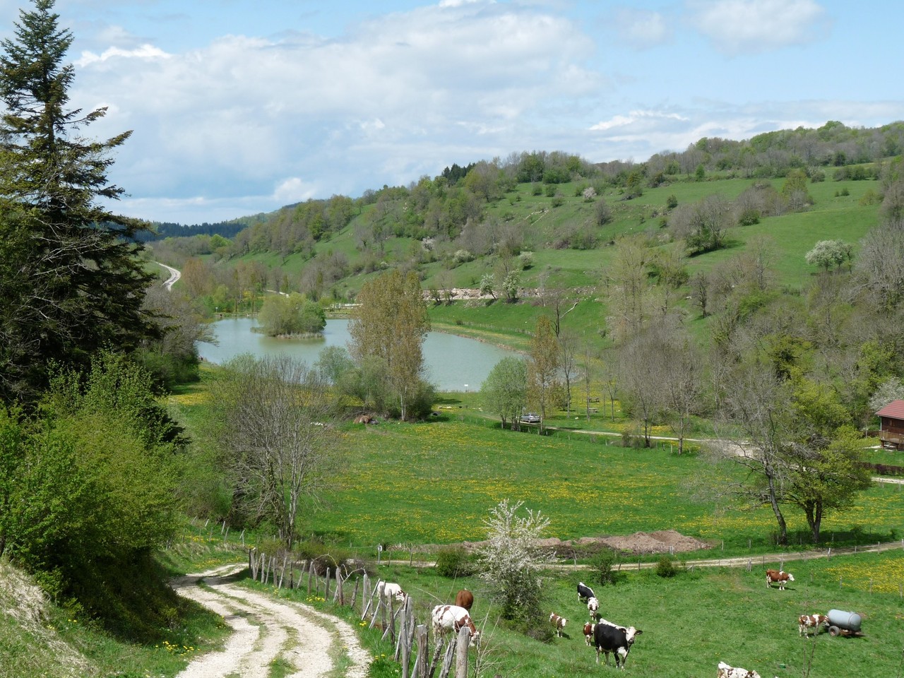 Evosges - Site de chephilor-productions