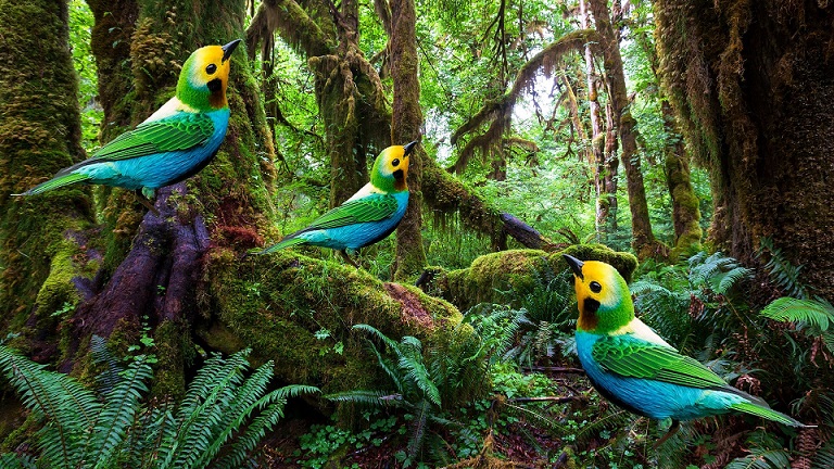 2021 - sabinekuttphotography