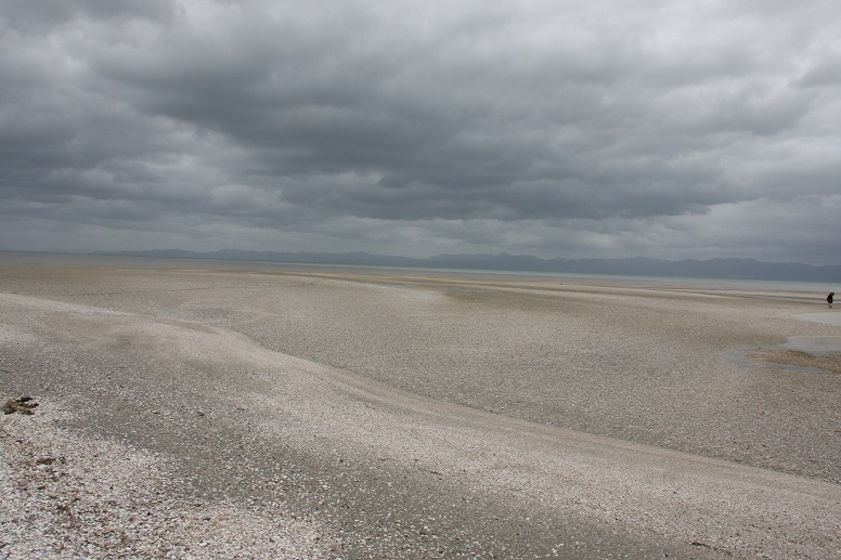 Rays Rest - sunostream