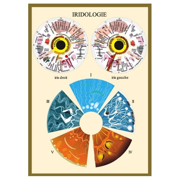 L'IRIDOLOGIE - naturopathie-saint-nazaire.fr
