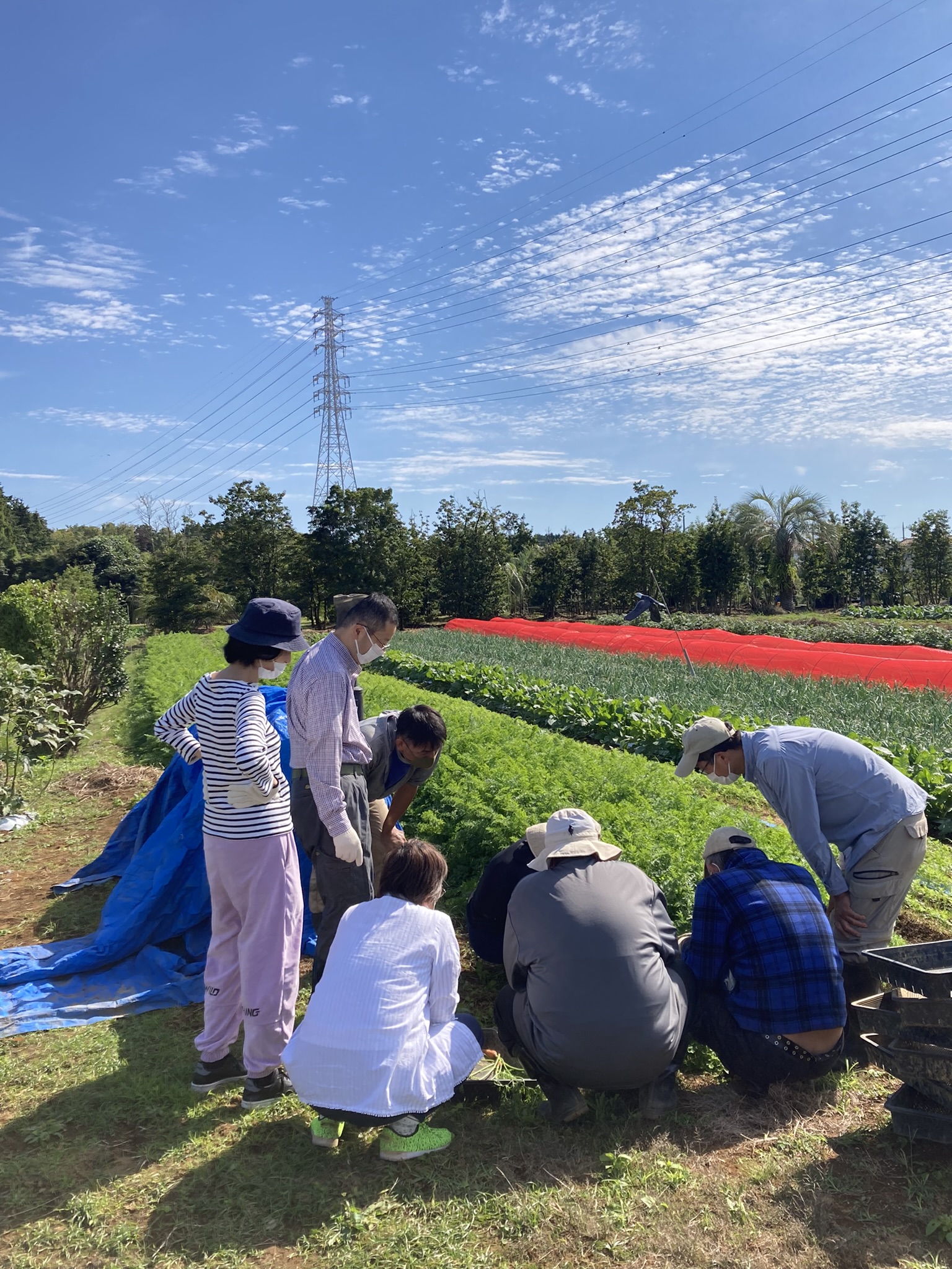 農福連携マッチング等支援業務 - npo-cafe-noufuku ページ！