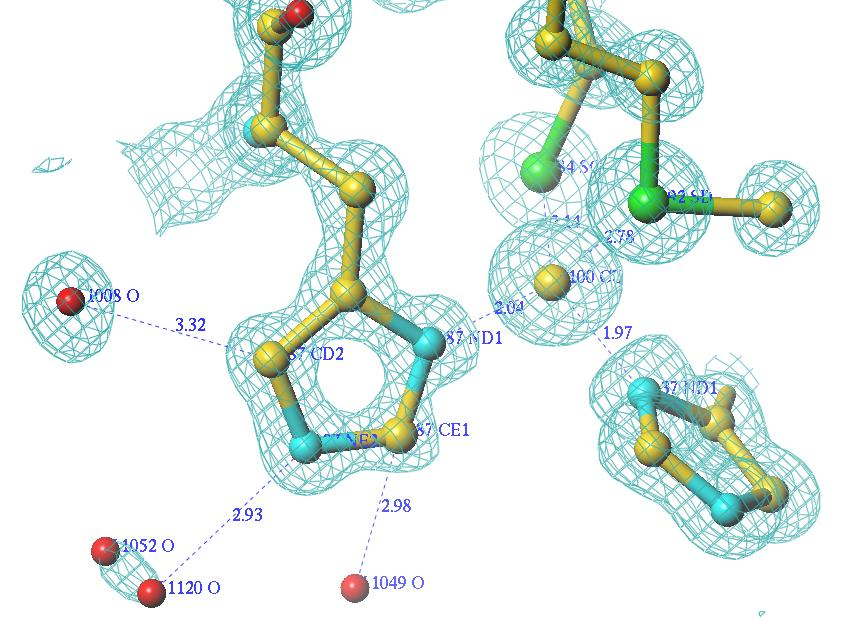 Dr. Mitko Dimitrov - Plastocyanin Dimorphism