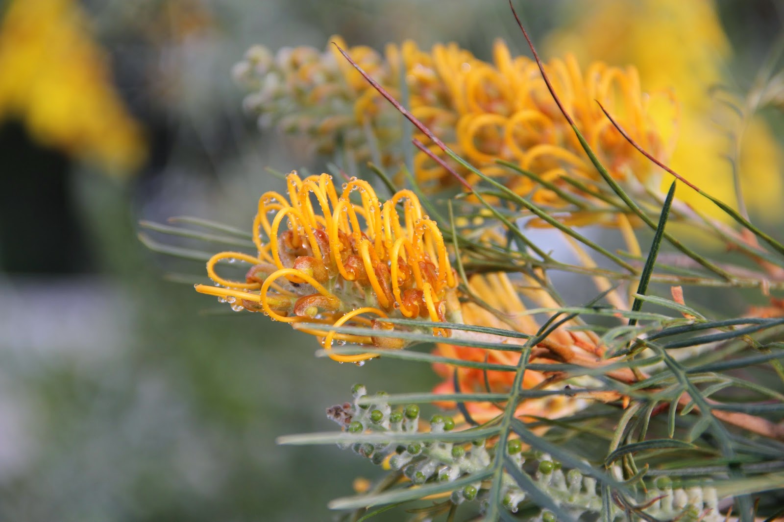 Home - Halethorpe Church